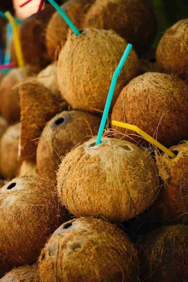 Aprenda a melhor maneira de abrir um coco maduro – SDT